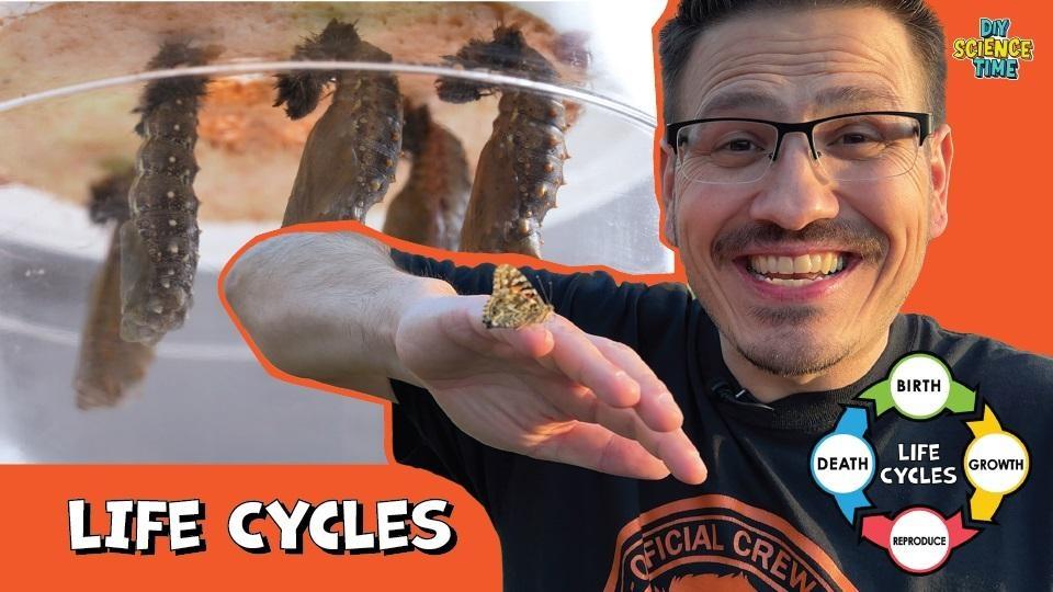 Life Cycles | DIY Science Time | PBS LearningMedia