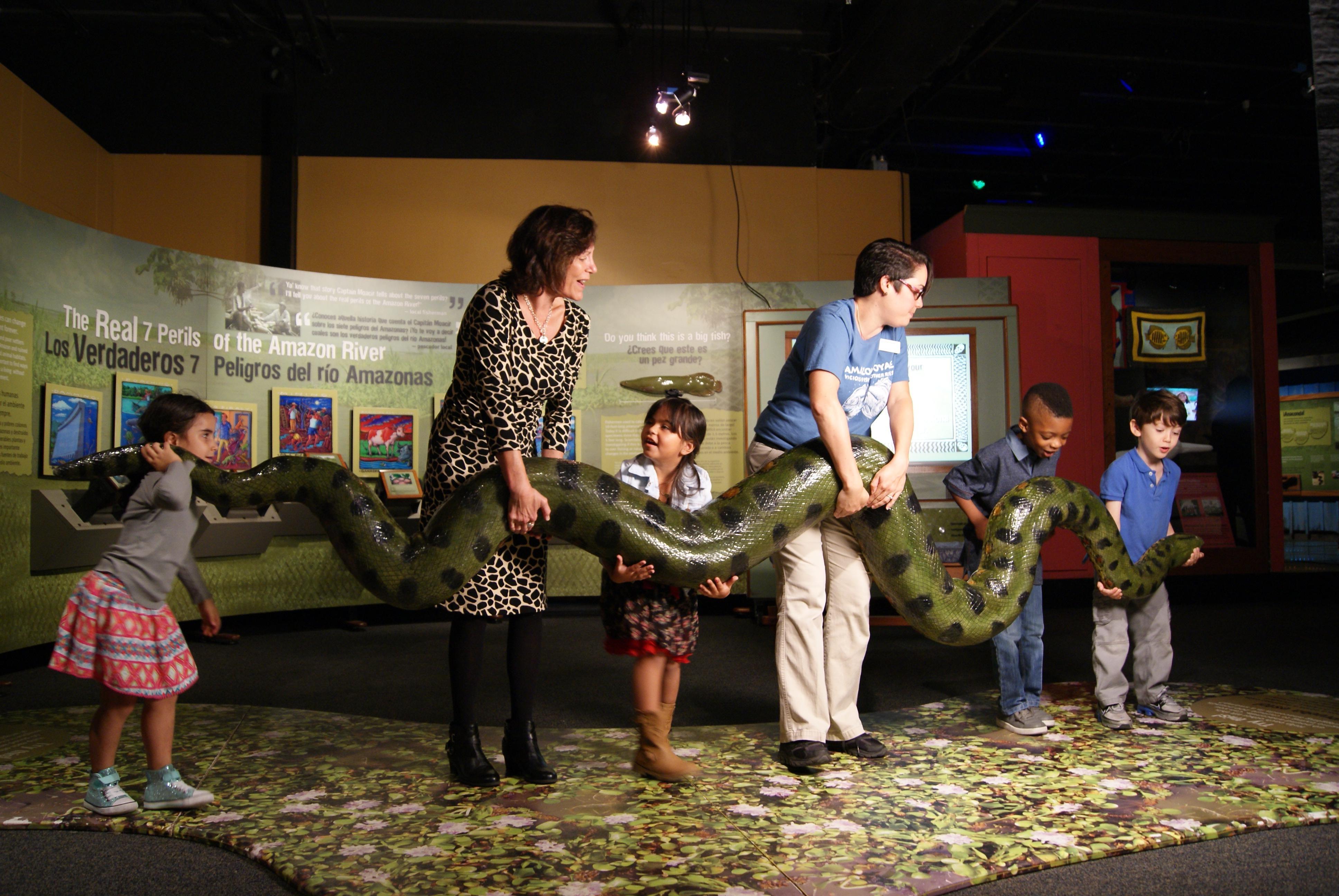 Amazon Field Trip | PBS LearningMedia