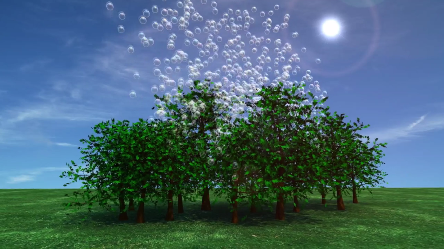 Reforestation: Impact on Climate: Video | Nature Lab | PBS LearningMedia