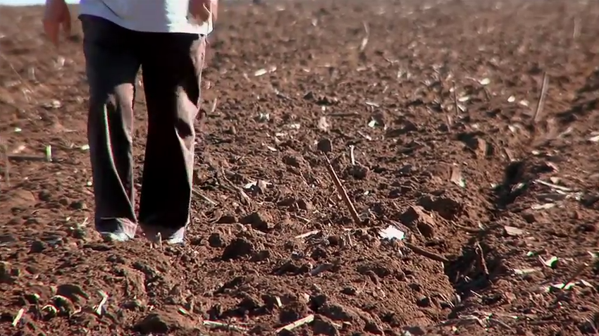 How Dirt Works: Lesson Plan | Nature Lab | PBS LearningMedia