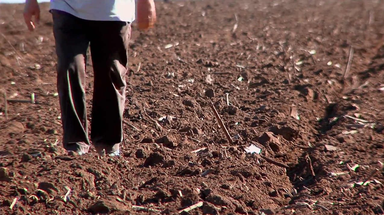 How Dirt Works: Video | Nature Works Everywhere | Grades 3-5, 6-8, 9-12 ...