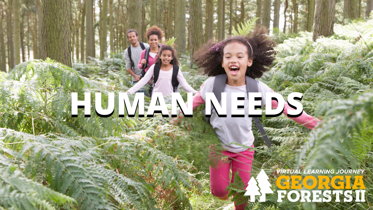 Why Humans Need Forests | Georgia Forests II | PBS LearningMedia