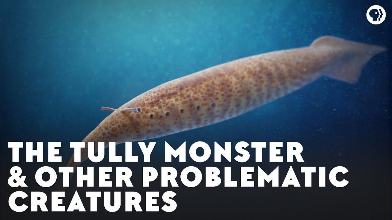 The Tully Monster & Other Problematic Creatures | Eons | Grades 9-12 ...