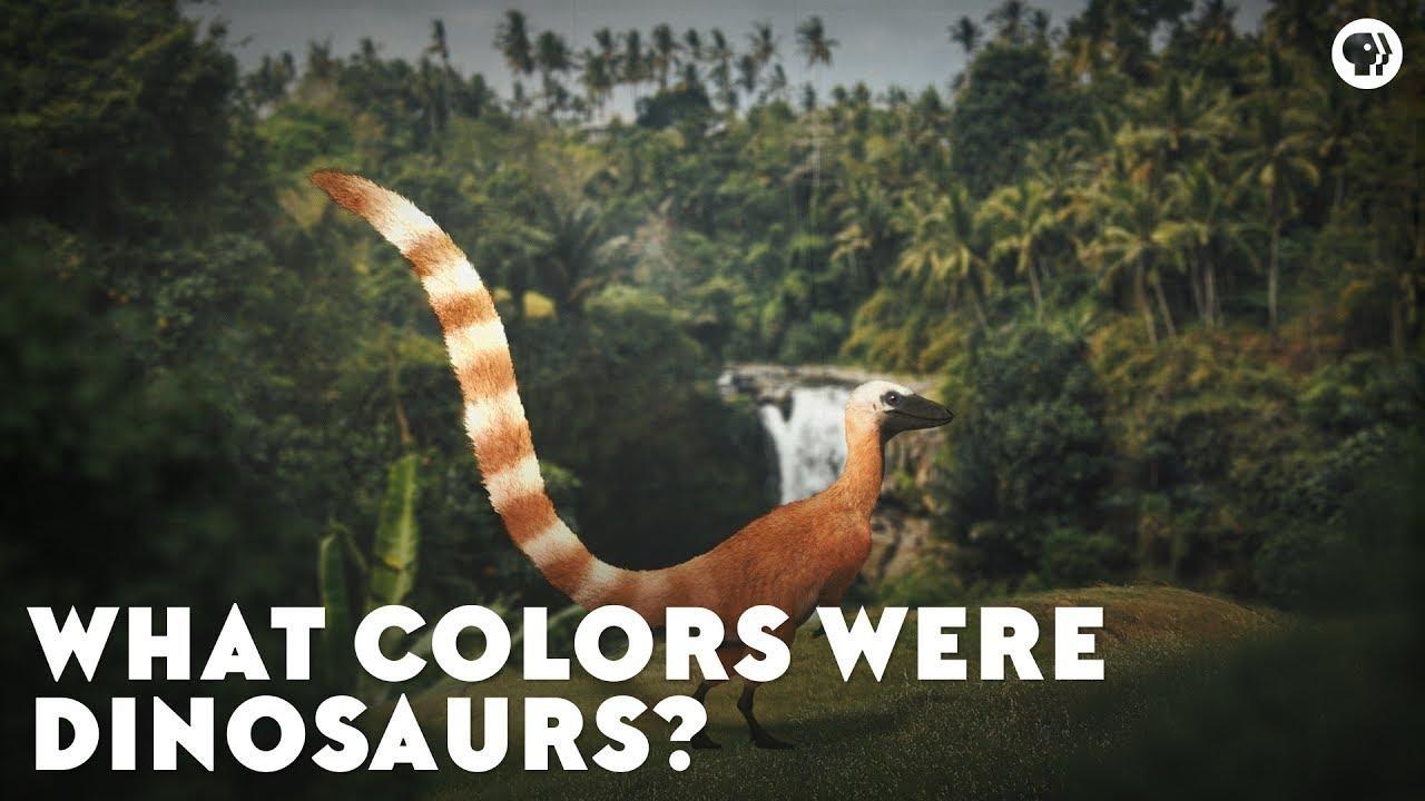 What Colors Were Dinosaurs? | Eons | PBS LearningMedia