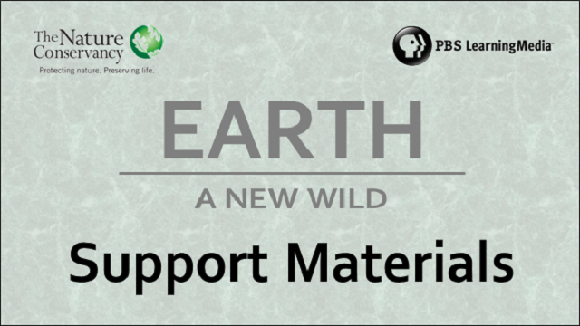 Wolves of Yellowstone: Part 2 Student Worksheet | PBS LearningMedia