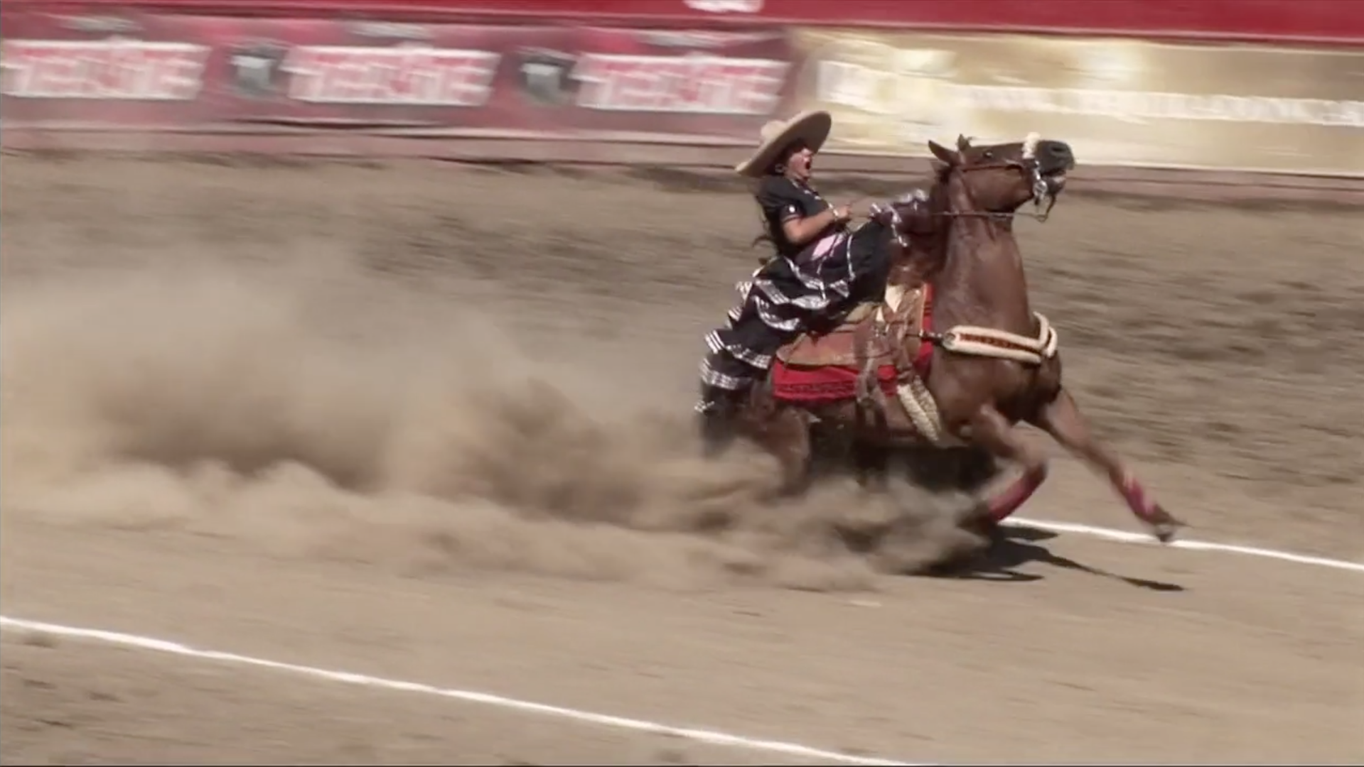 Escaramuza: Coordinates, Reflection, Rotation | PBS LearningMedia