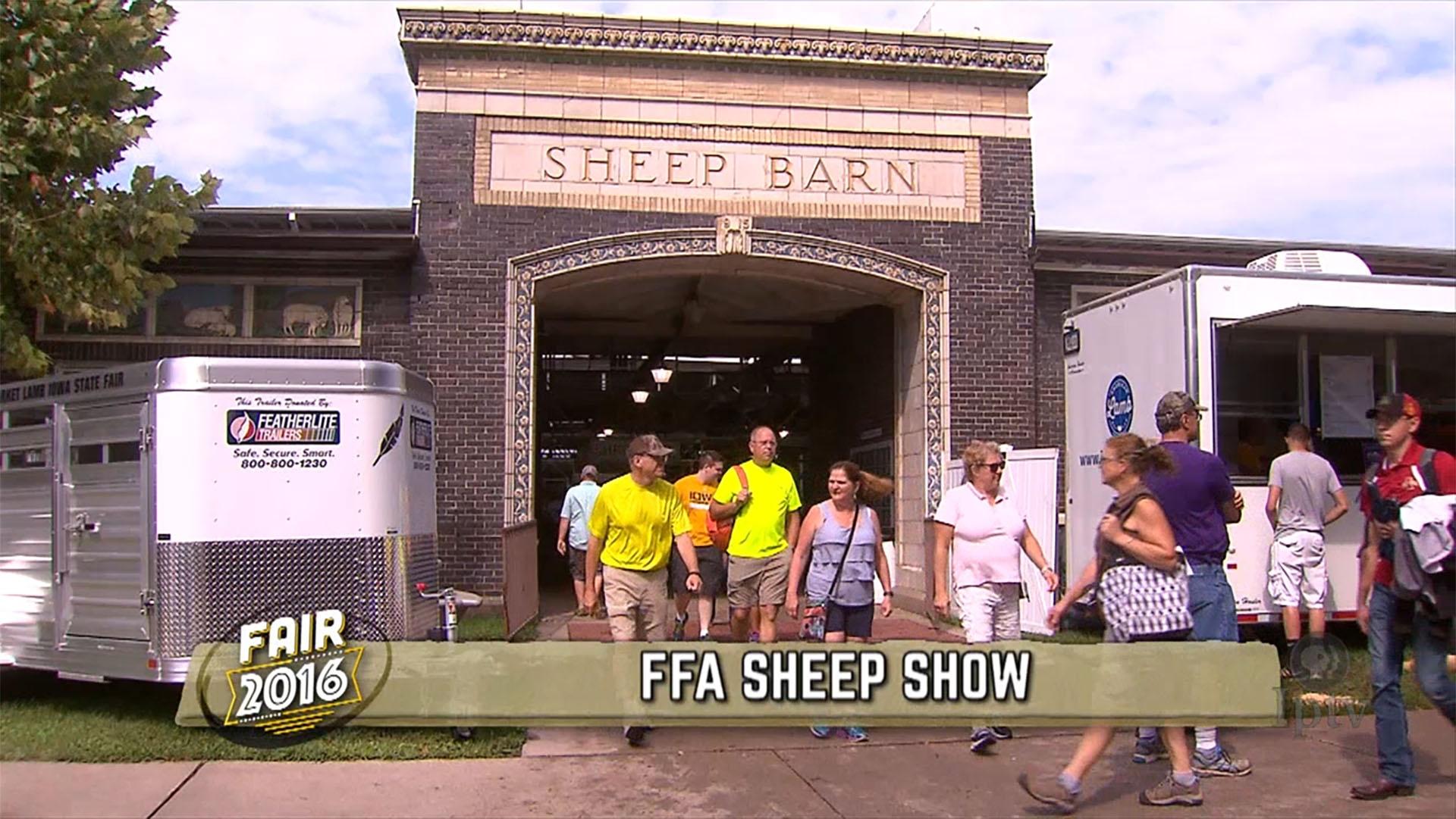 FFA Sheep Show | Iowa State Far 2016 | PBS LearningMedia