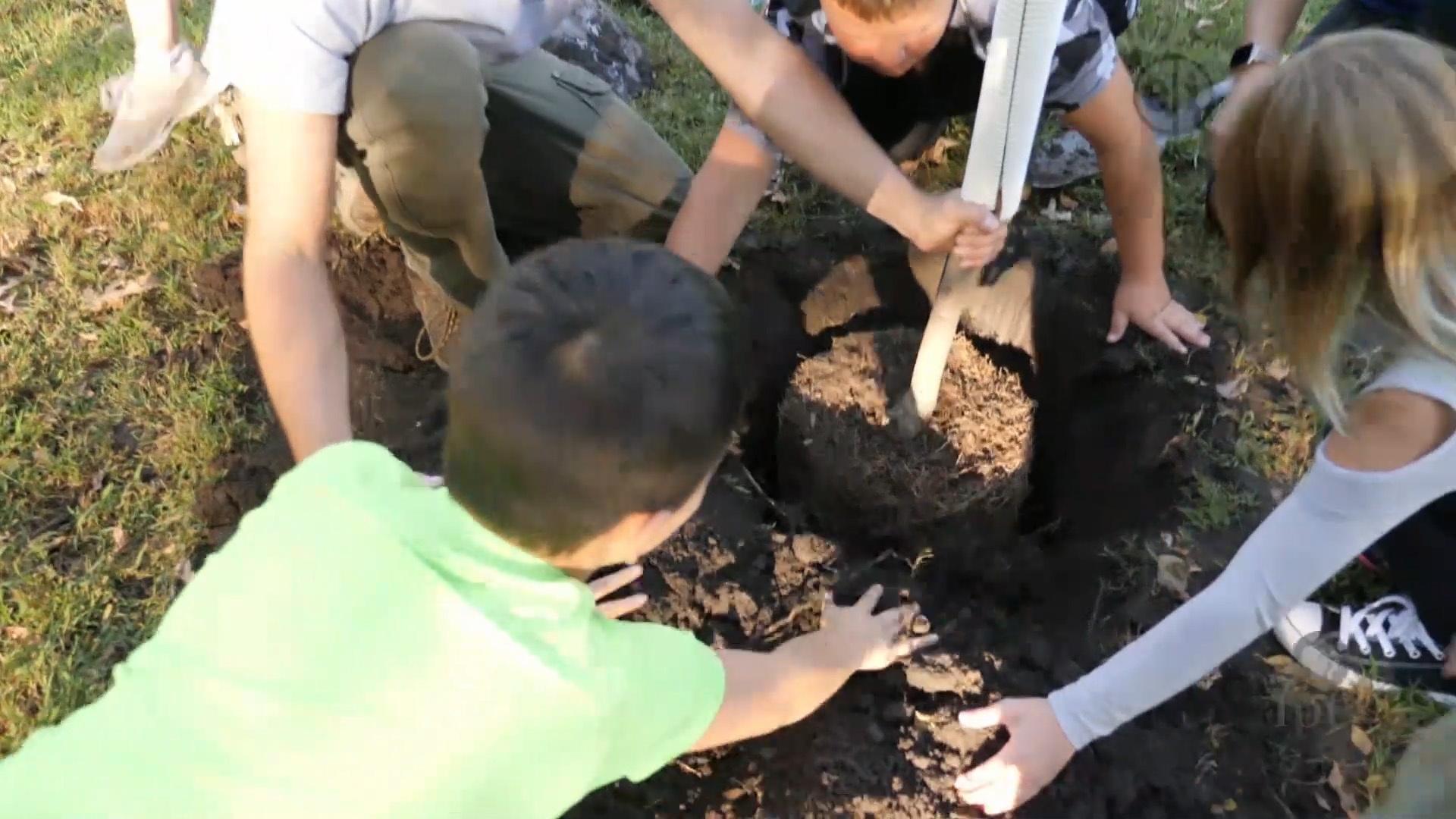 Planting Trees | FIND Iowa | Grades K-2, 3-5 Engineering & Technology ...
