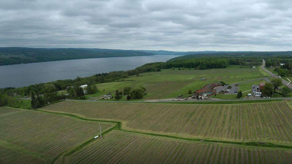The Finger Lakes Microclimate | Journeys Through the Finger Lakes | PBS LearningMedia