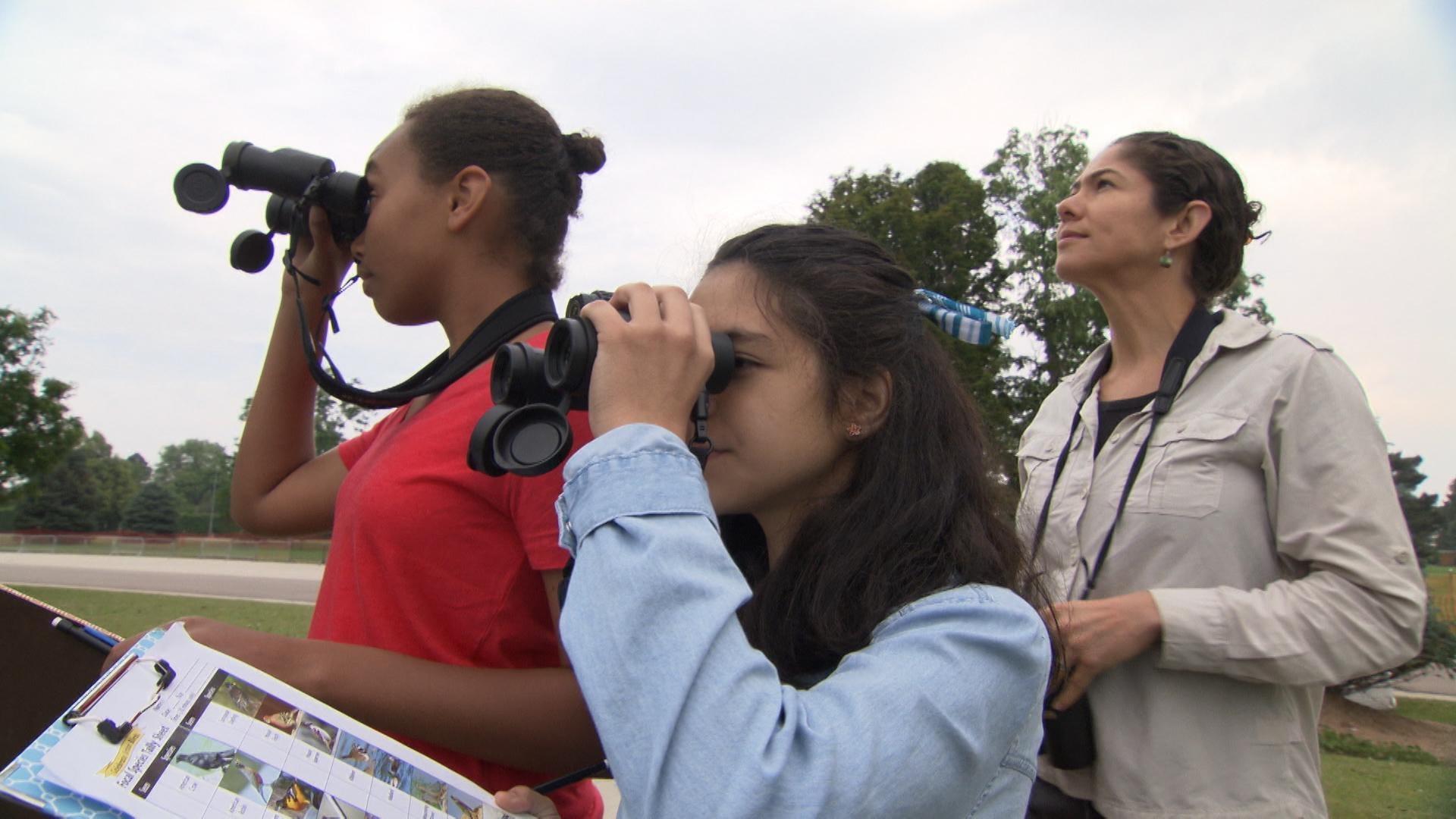 Data Collection pt. 1: SciGirls | Feathered Friends | PBS LearningMedia