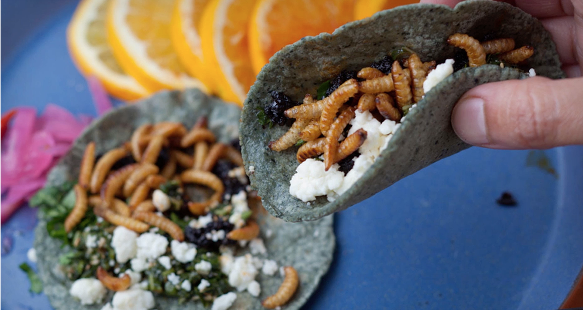 Un Chapulín Crujiente | Our Hungry Planet | PBS LearningMedia