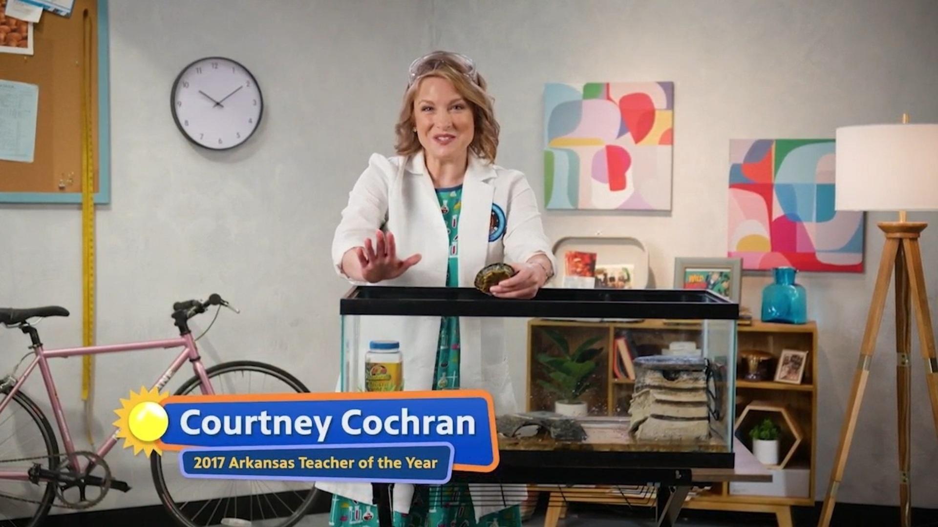 Food Chain of Command | Rise and Shine: Science Time | PBS LearningMedia