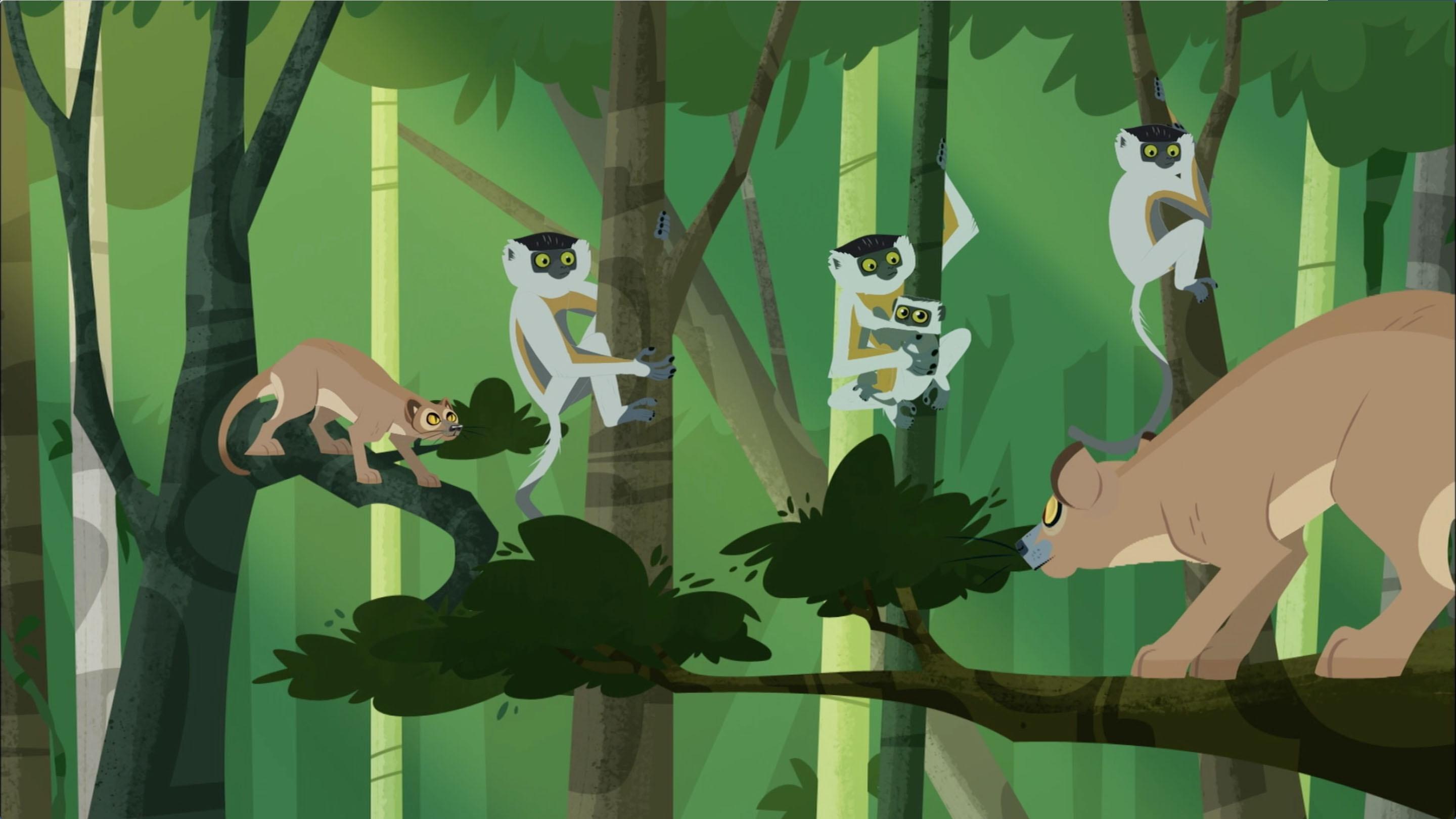 Fossa Hunting | Wild Kratts | PBS LearningMedia