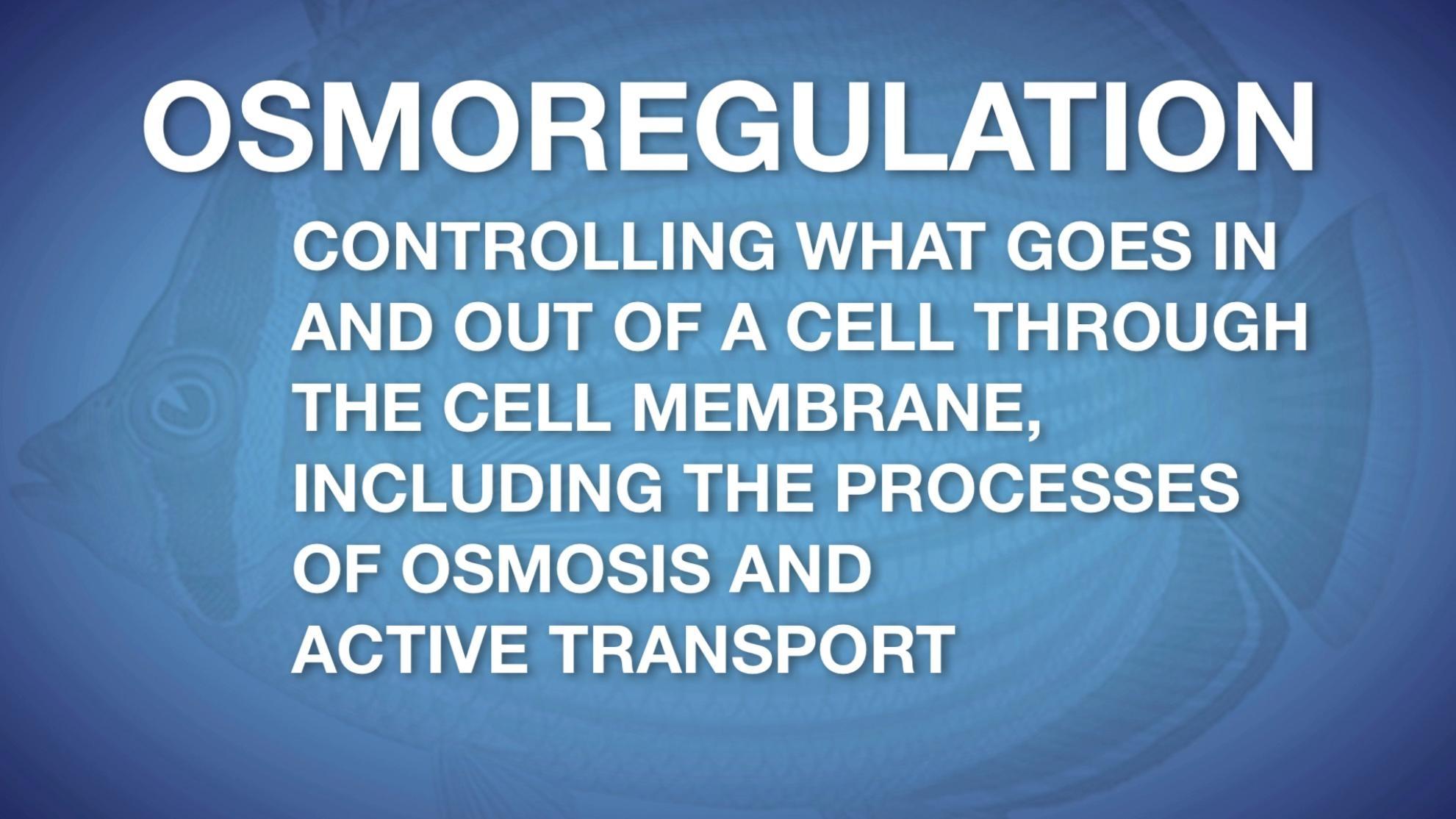Teachable Moment: Osmoregulation | Fast Forward | Grades 9-12 Science ...