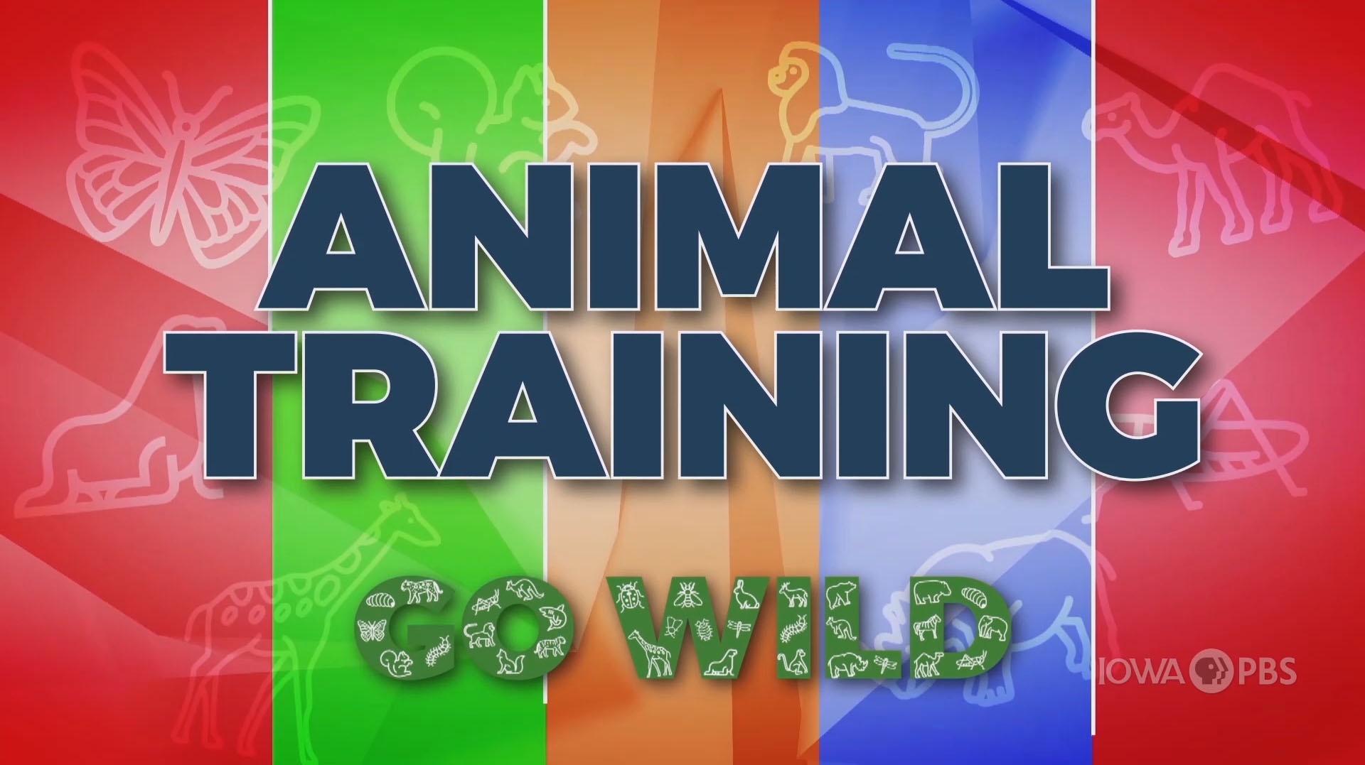 Go Wild: Husbandry Training | Young Explorers | PBS LearningMedia