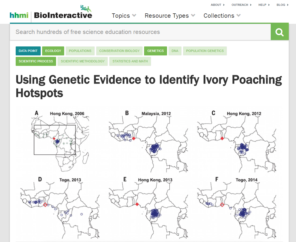 Using Genetic Evidence to Identify Ivory Poaching Hotspots | PBS ...