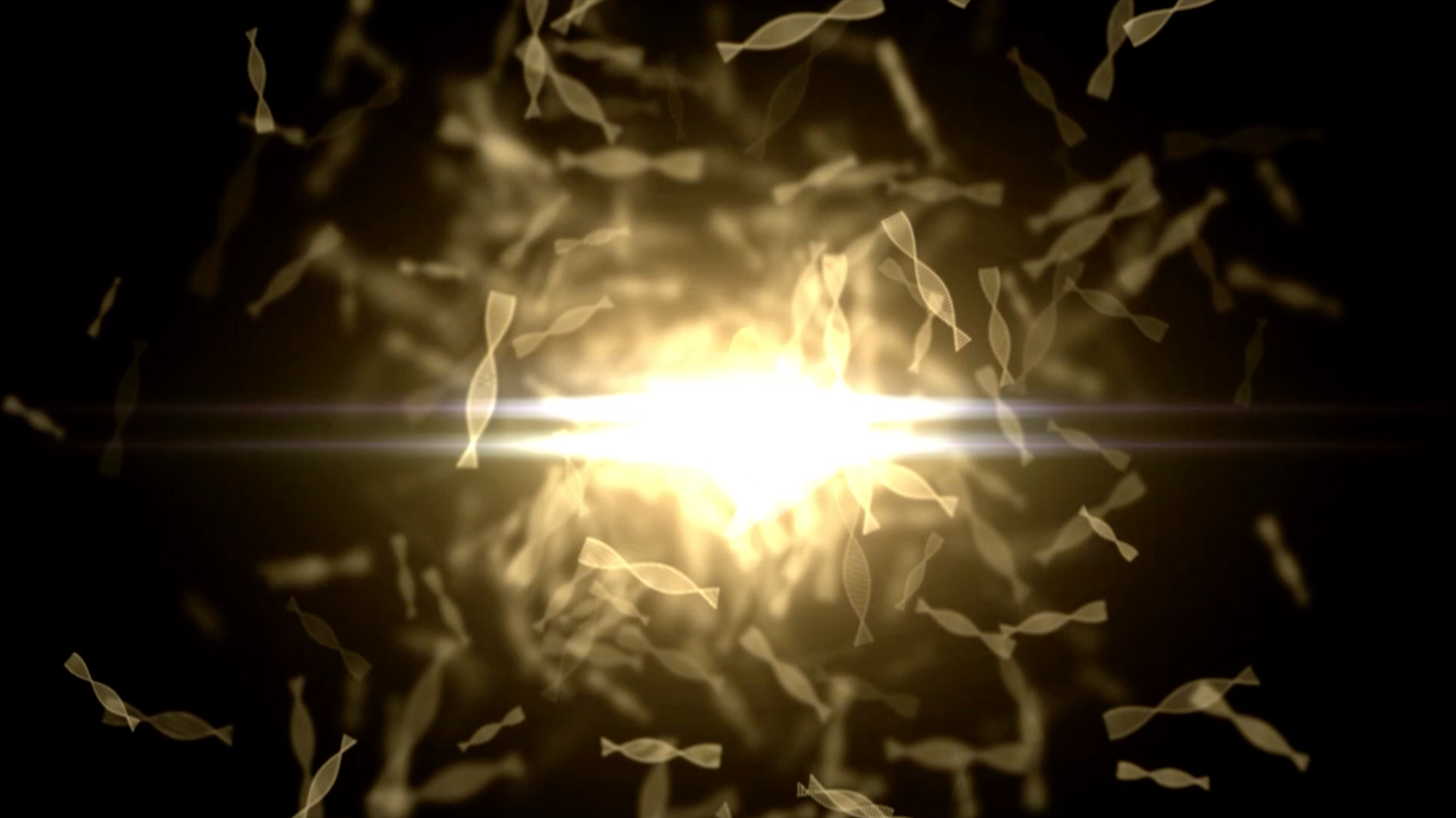 What Are We Ch 3 The Building Blocks Of Life Genius By Stephen Hawking Pbs Learningmedia