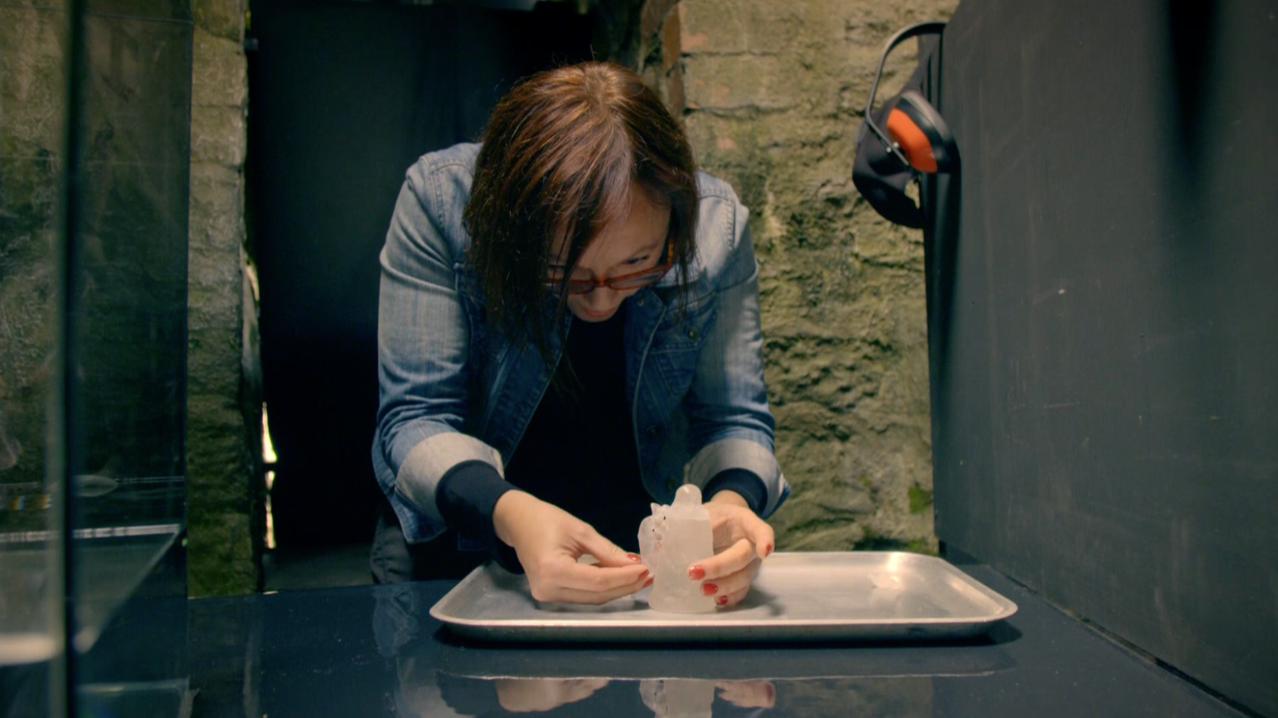 What Are We? Ch. 4: Evolution | Genius by Stephen Hawking | PBS ...