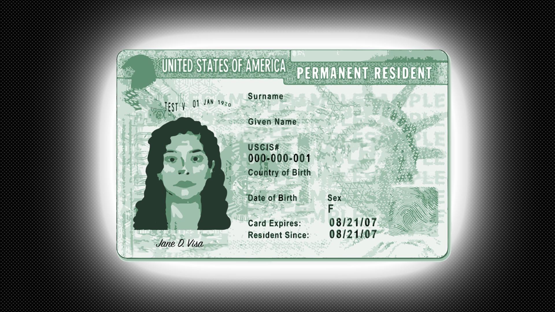 The Lowdown | The Twisted Roots of America’s Immigration System Lesson ...