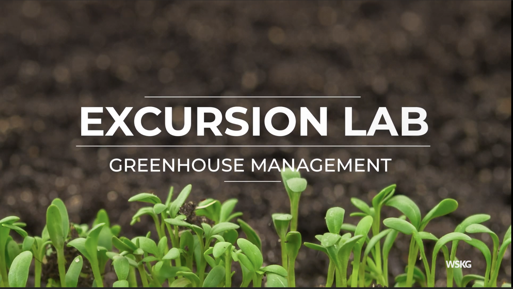 The Science of Plant Growth and Adaptation | Excursion Lab | PBS ...