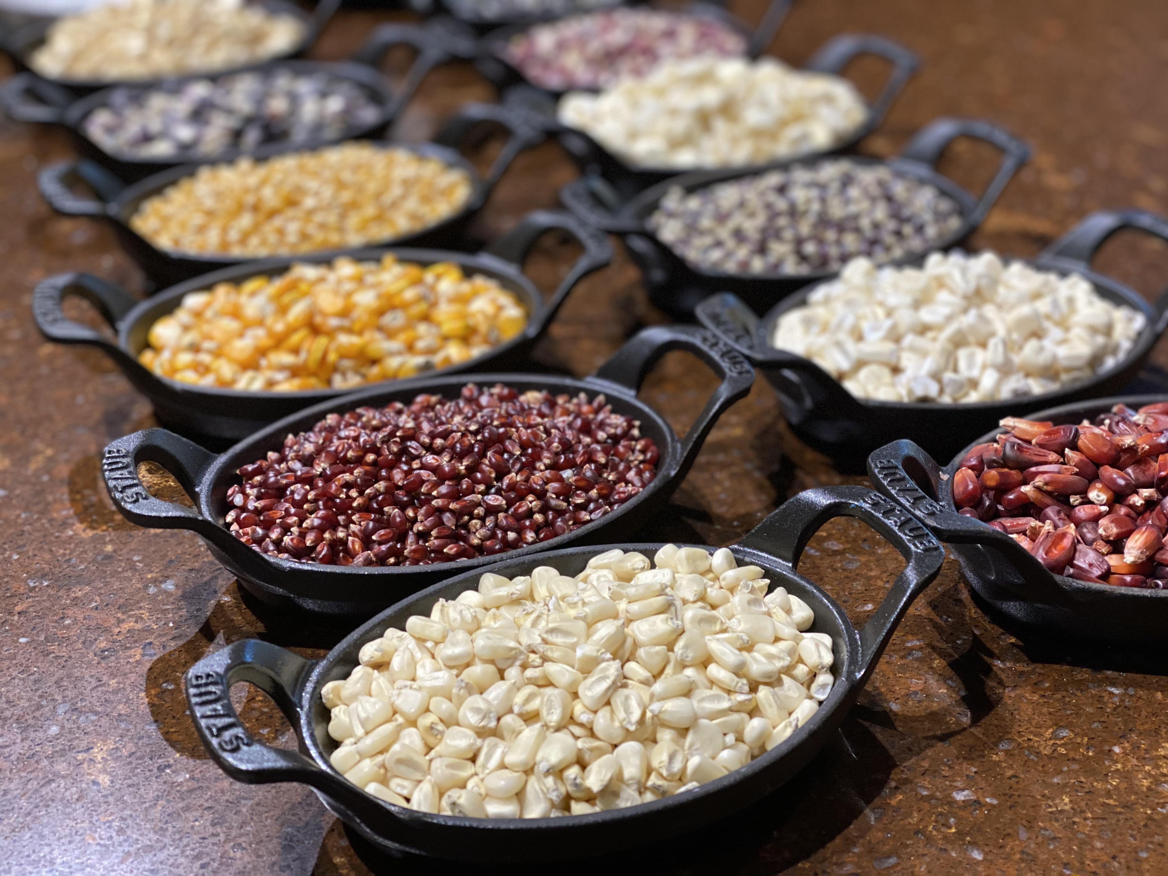 Mexico: Tamales | Relish | PBS LearningMedia