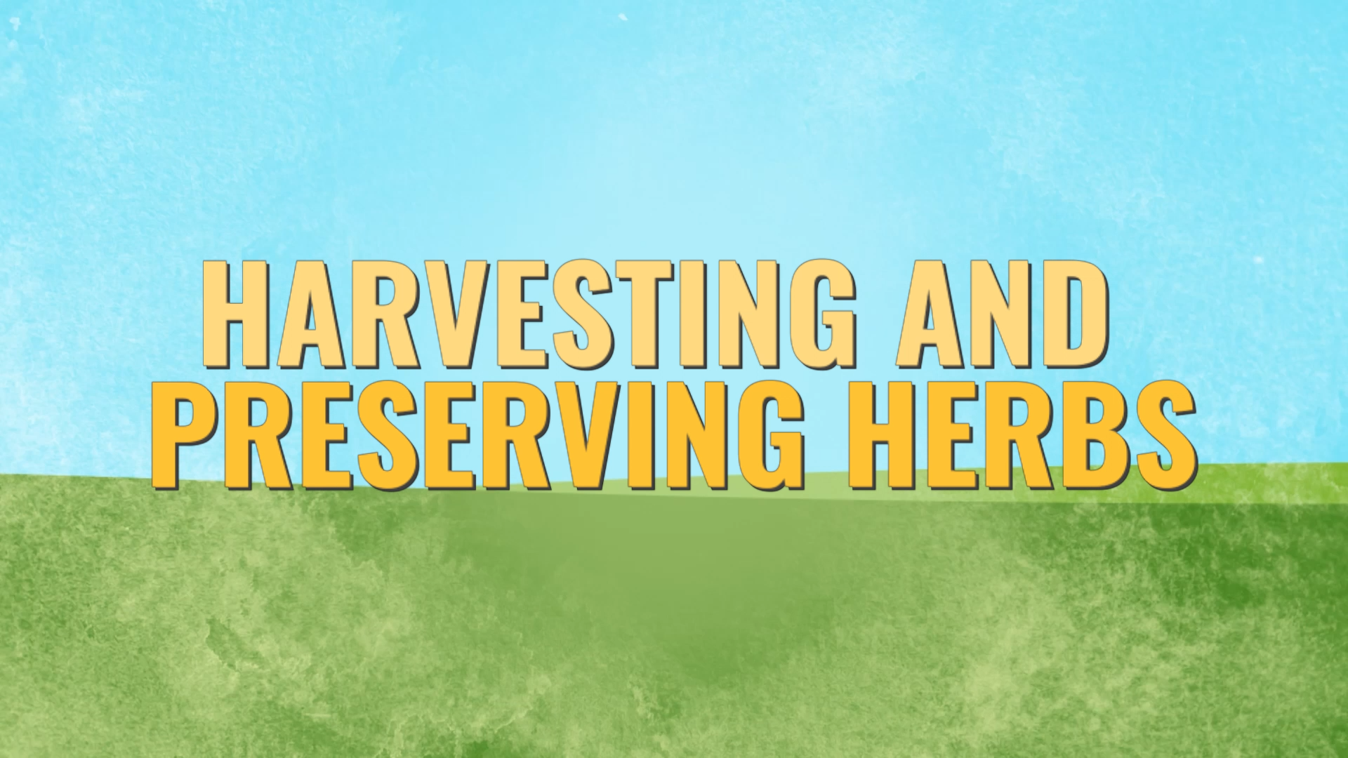 Harvesting and Preserving Herbs | Year-Round Gardening | Grades 6-8, 9 ...