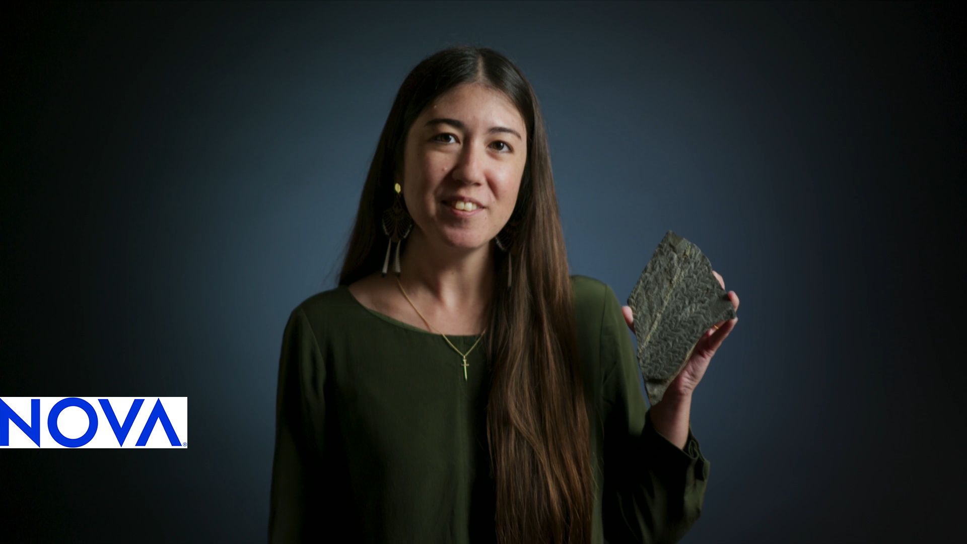 How Environmental Changes Drove Early Plant Evolution | NOVA | PBS ...