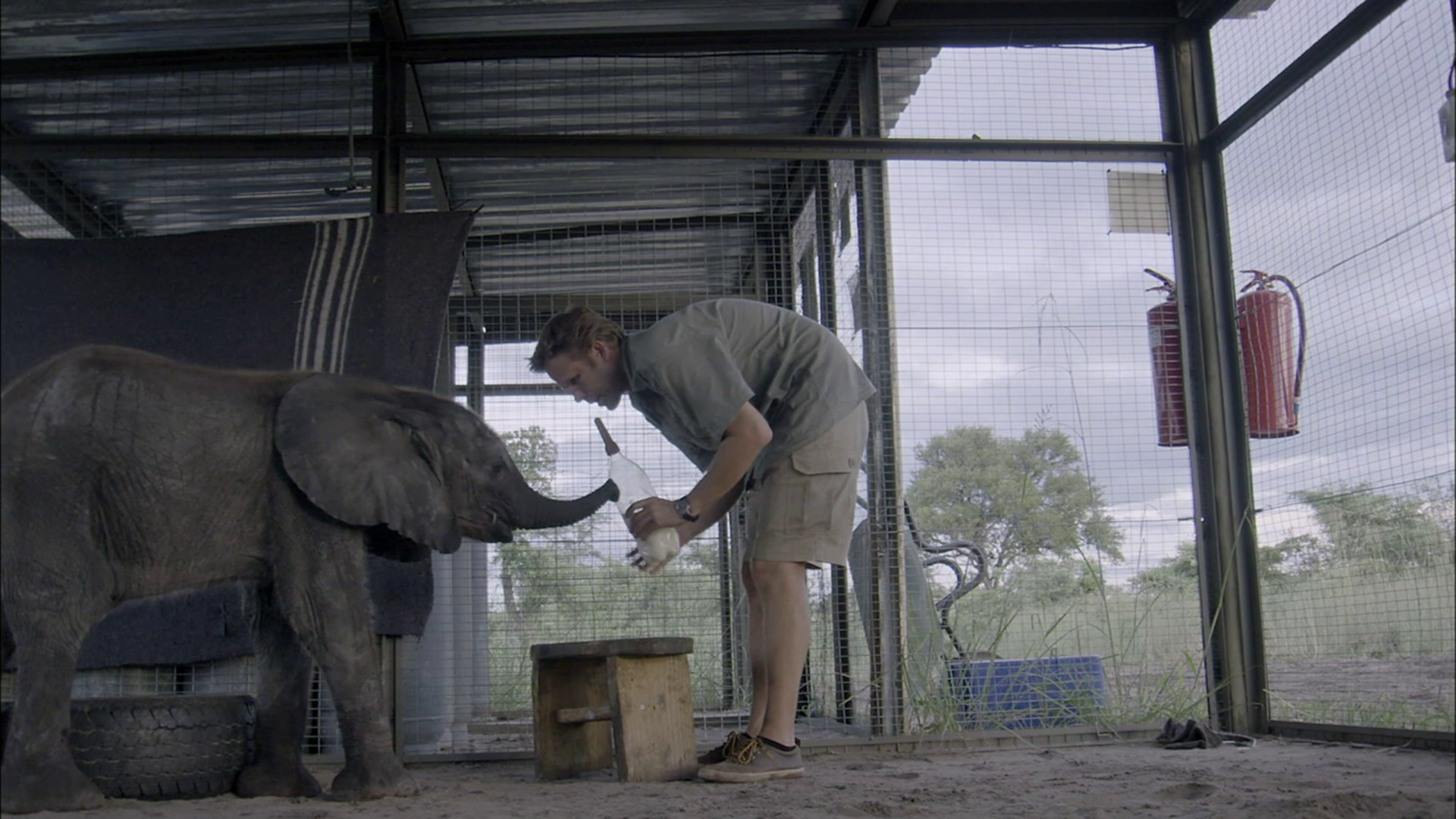 Human and Animal Relationships | PBS LearningMedia