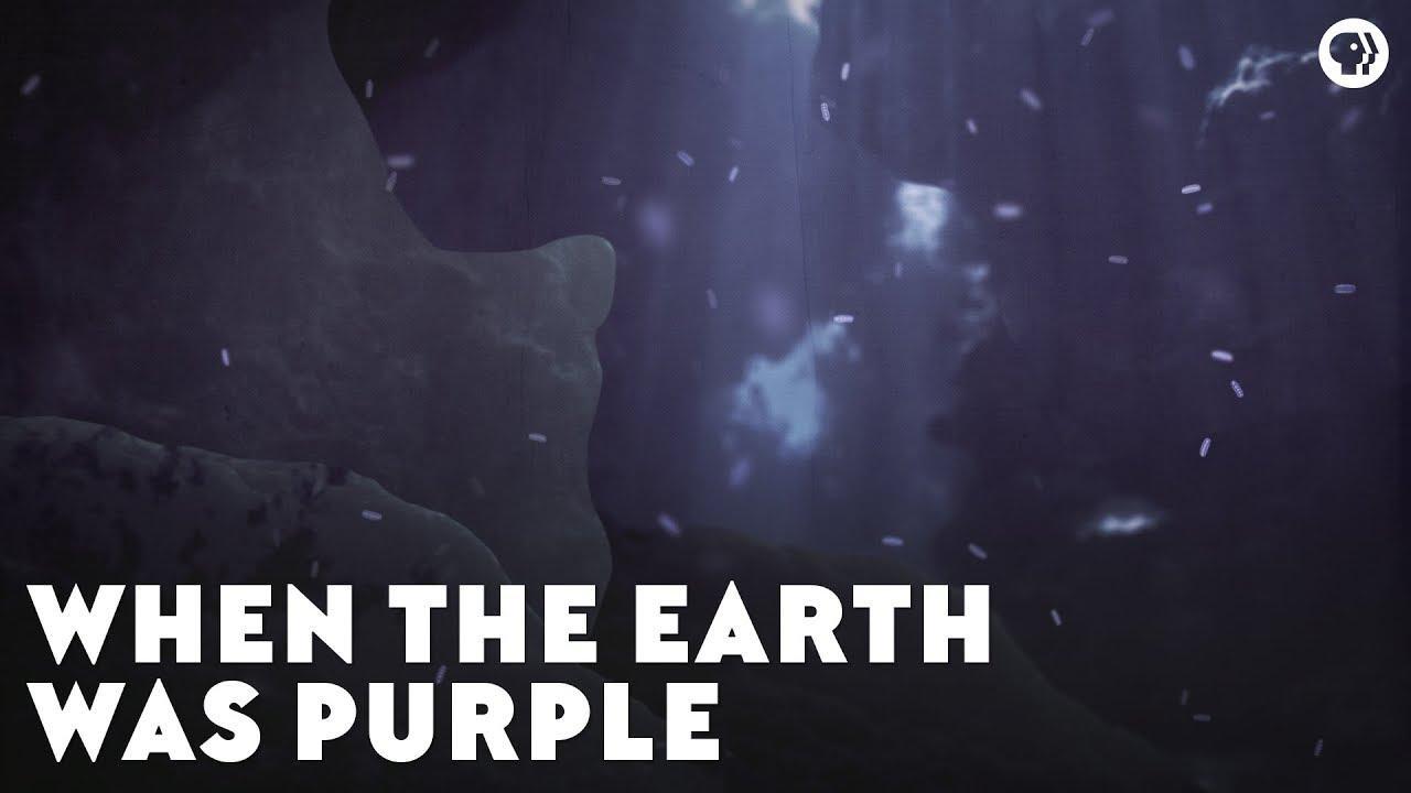 When the Earth Was Purple | Eons | PBS LearningMedia