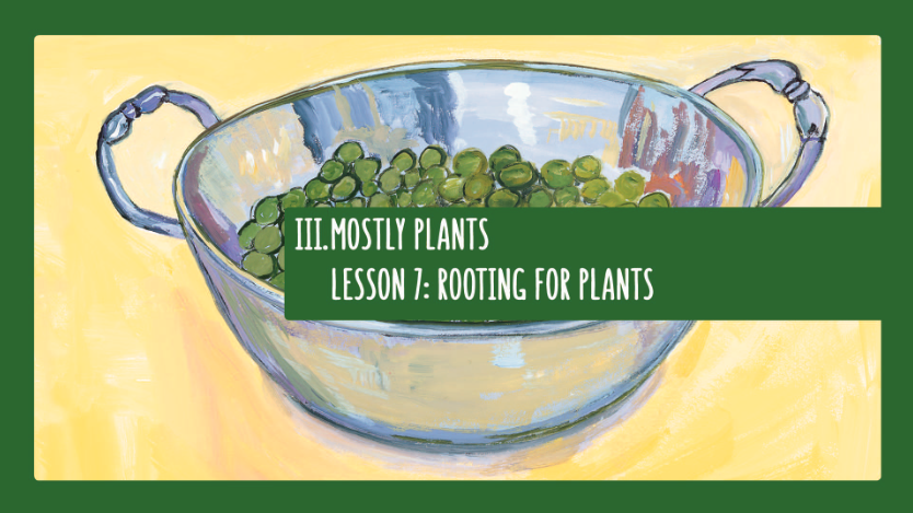 Lesson 7: Rooting for Plants | In Defense of Food | PBS LearningMedia