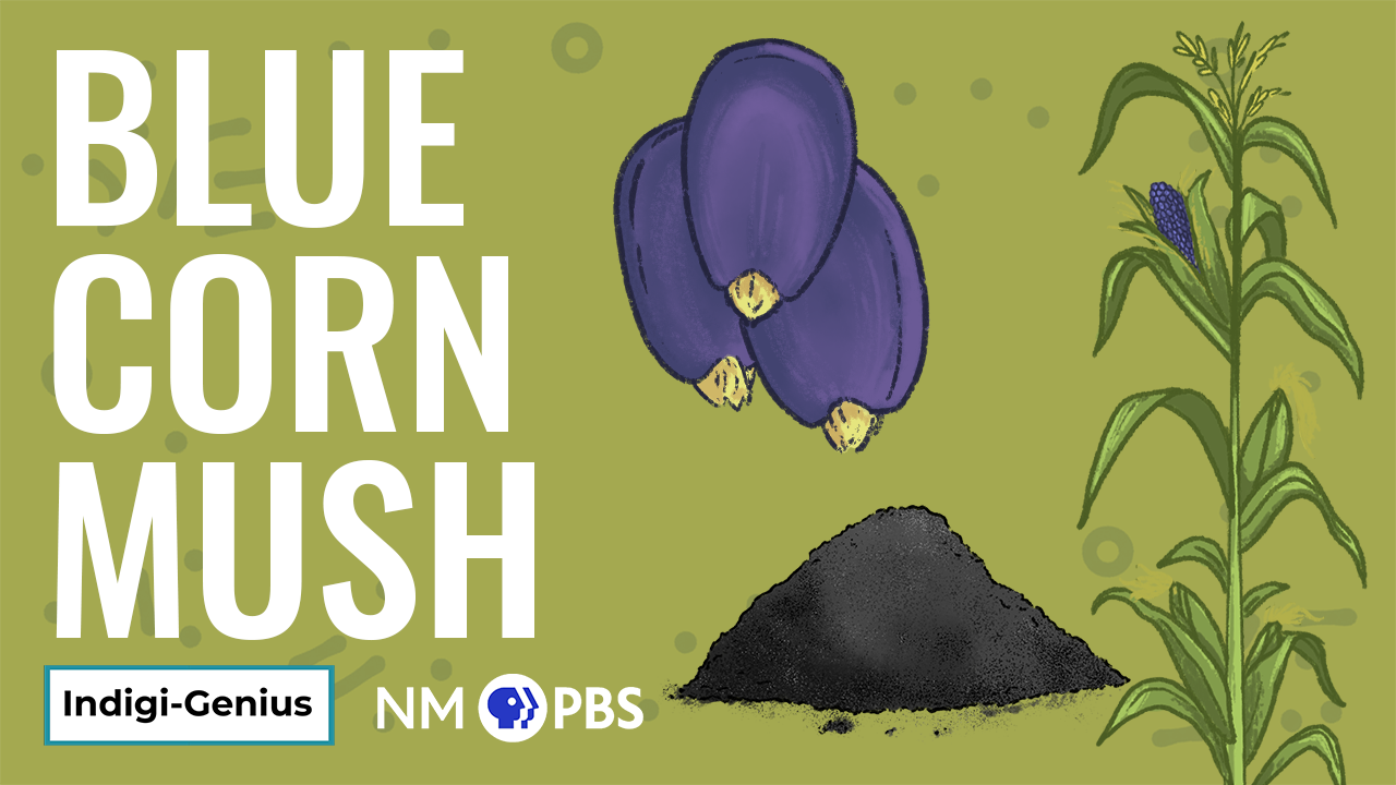 Blue Corn Mush | Indigi-Genius | PBS LearningMedia