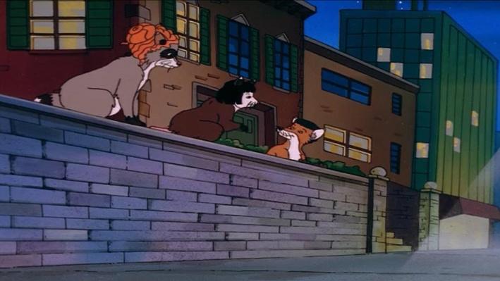 Nature Cat | A Jump to Remember | Science, Preschool | Video | PBS ...