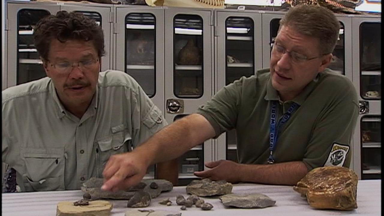 Indiana Fossils | Indiana Expeditions | PBS LearningMedia