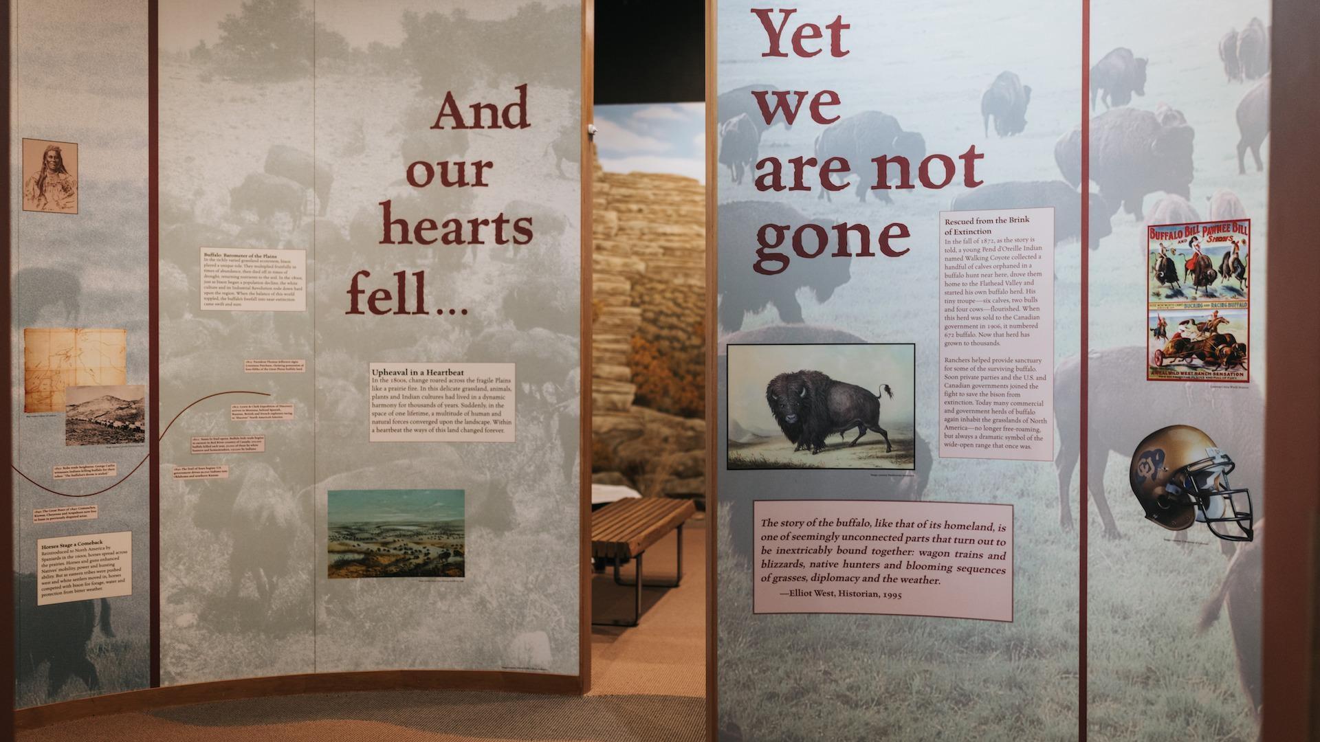 First Peoples Buffalo Jump Photo Gallery | Parks of Montana | PBS ...
