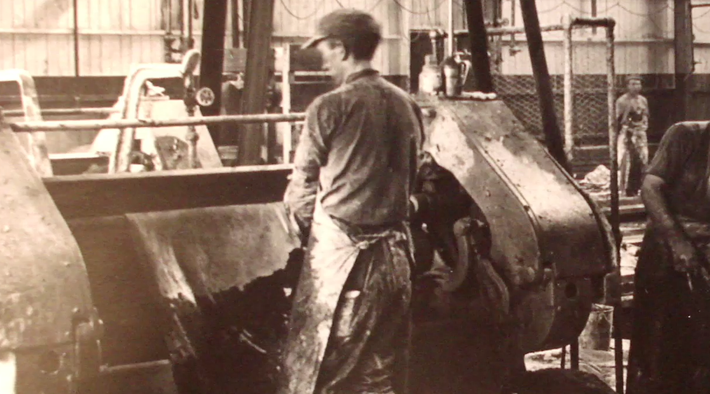 How to be an Alpha Male Koala | Science | Video | PBS LearningMedia