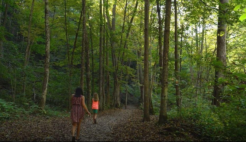 The Finger Lakes Land Trust | Journeys Through the Finger Lakes | PBS LearningMedia