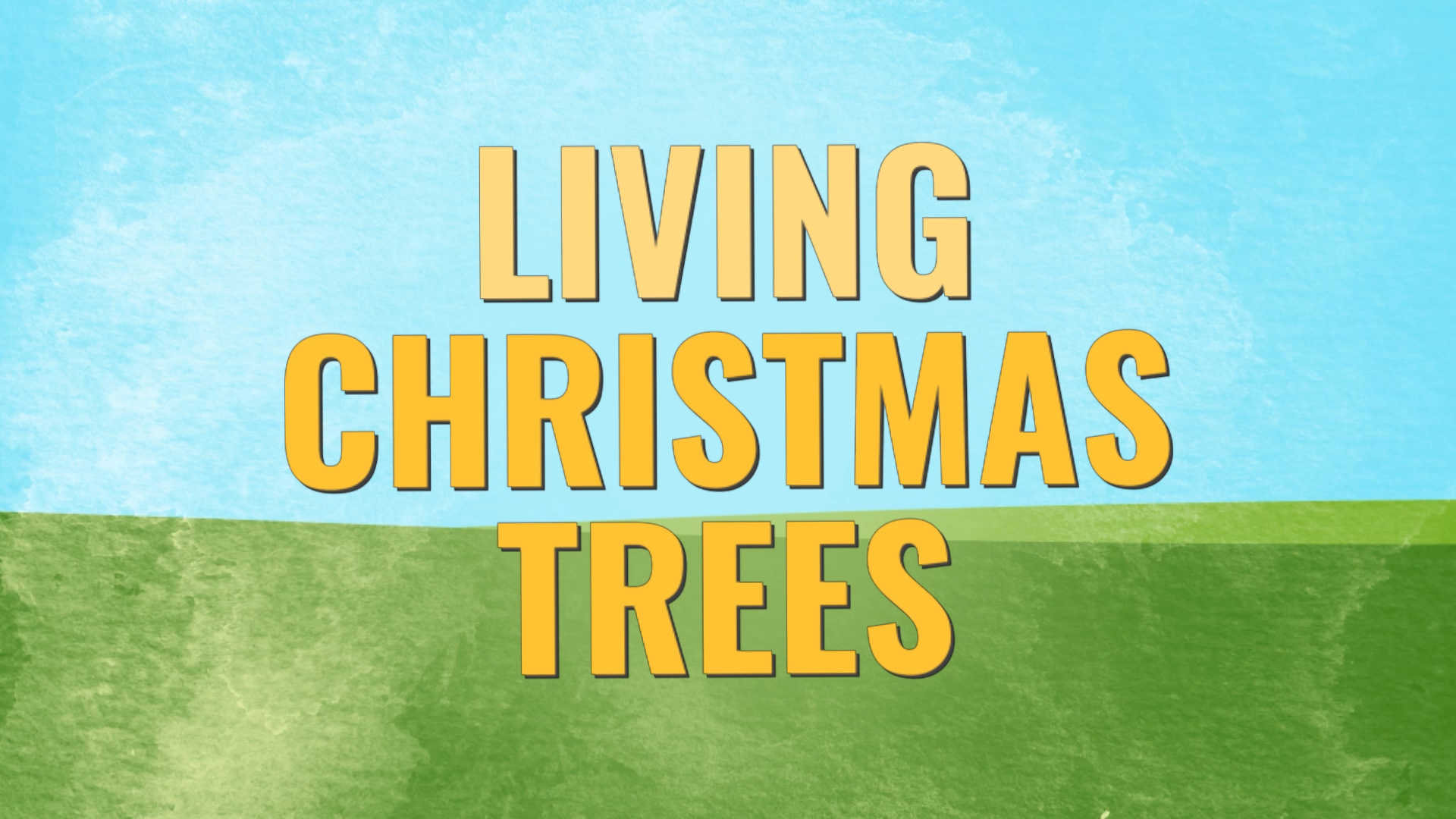 Living Christmas Trees | Year-Round Gardening | PBS LearningMedia