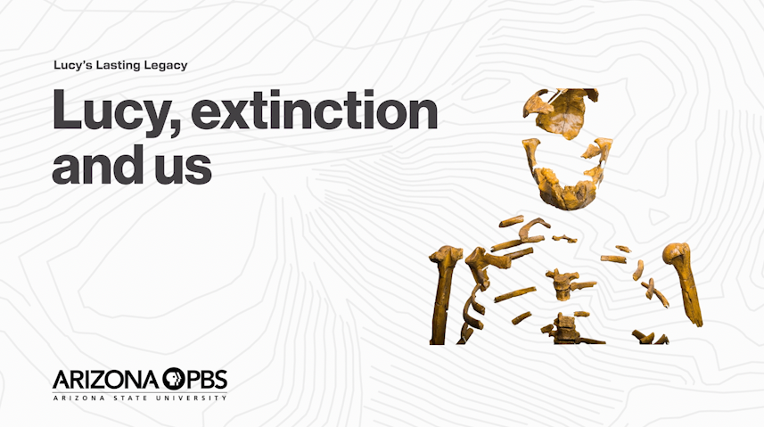 Lucy, Extinction, and Us | Lucy 50: A Year for Human Origins | PBS ...