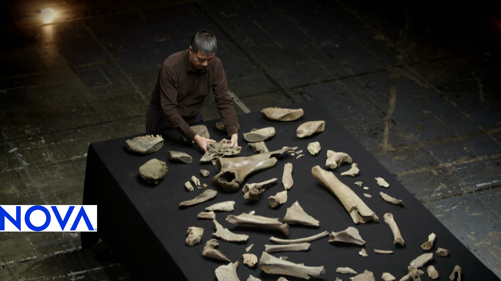 Mammoth Graveyard | Great Mammoth Mystery | PBS LearningMedia