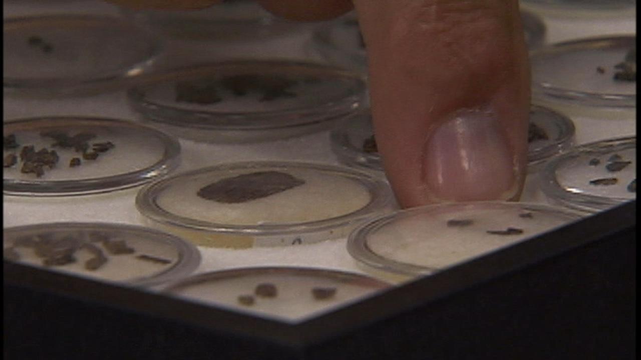 Microfossils Expert | PBS LearningMedia