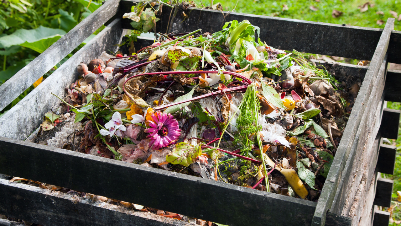 Food Waste Management | Unit 6: Careers in Environmental Science | Let ...