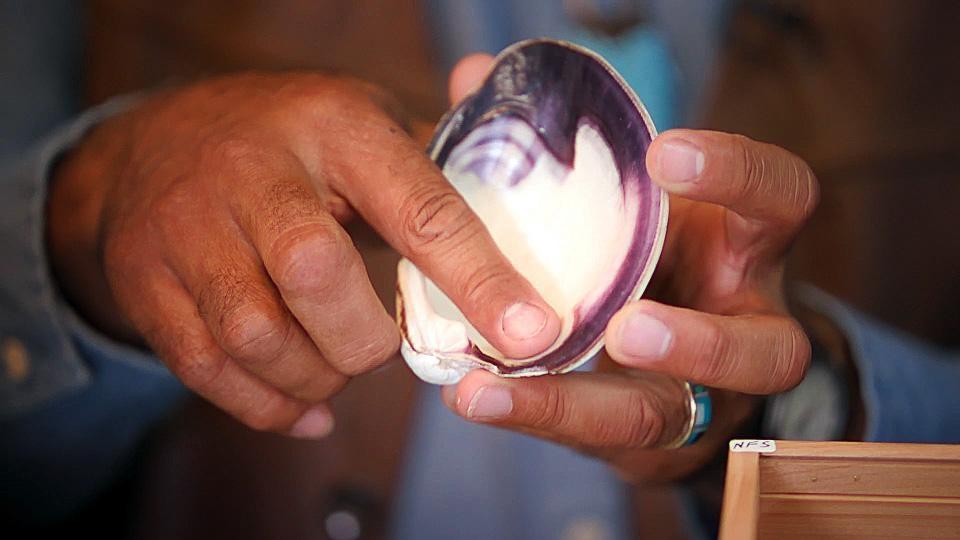 Native Voices | Wampum | PBS LearningMedia