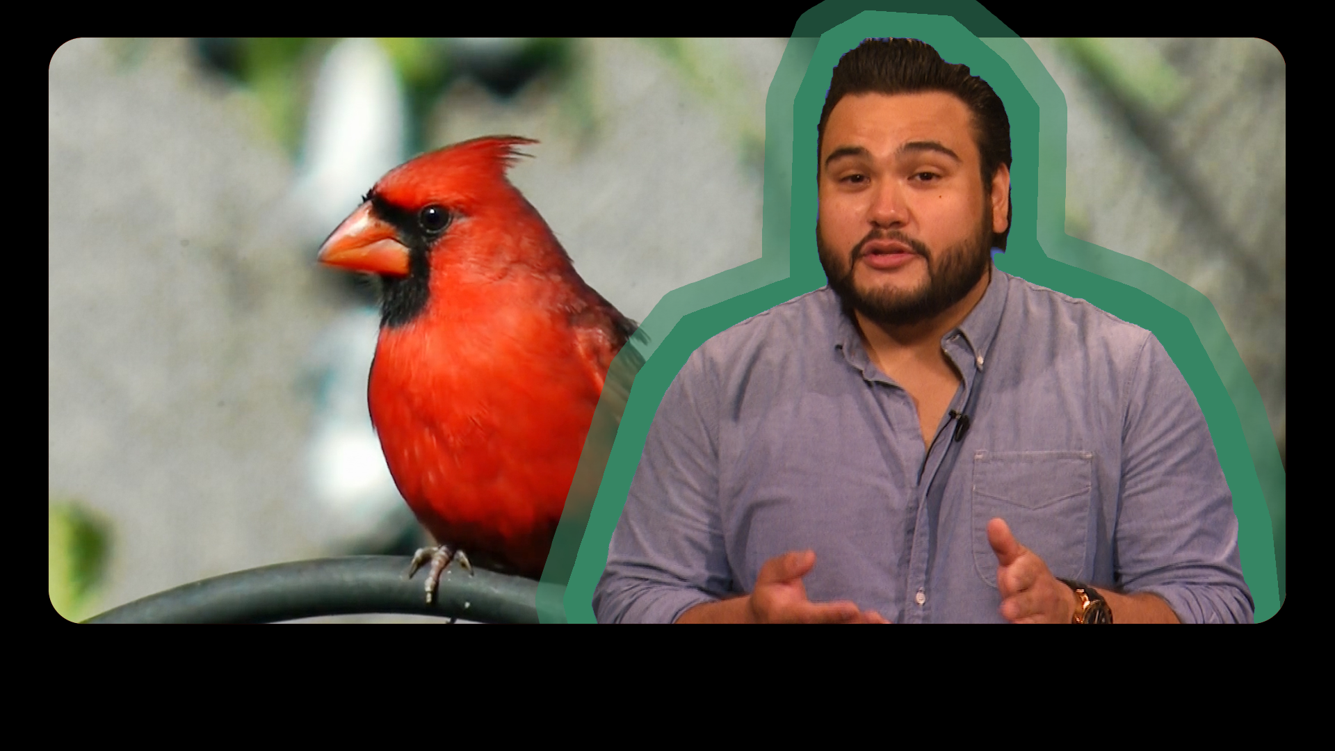 Ohio's Unique State Symbols | Know Ohio | PBS LearningMedia