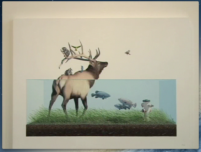 Natural Selection | PBS LearningMedia