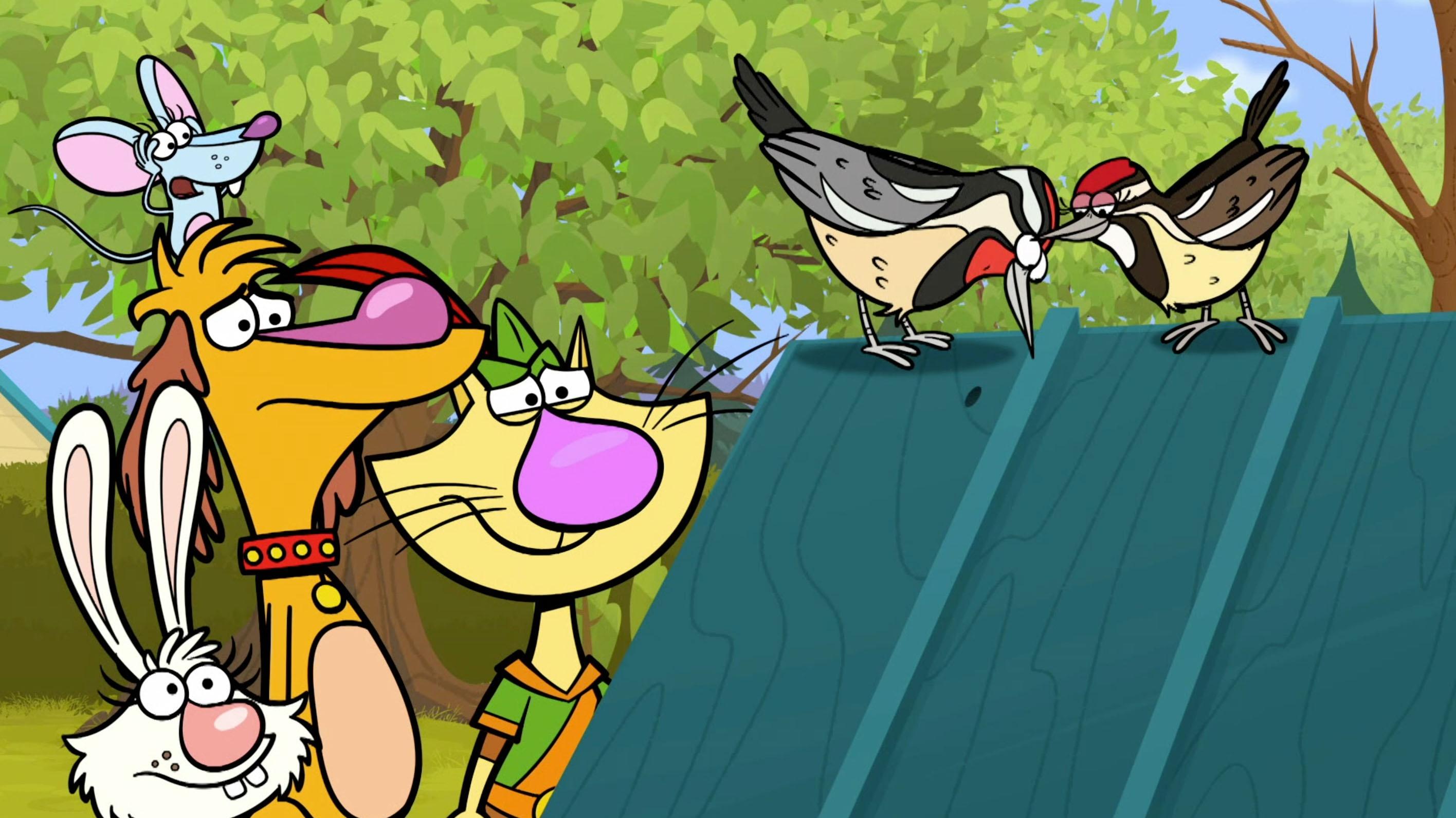 Woodpecker Picks a Place | Nature Cat | PBS LearningMedia
