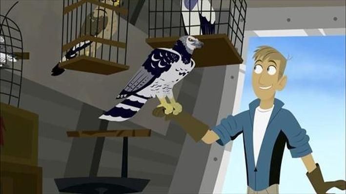 Fun with Raptors | Wild Kratts | Science | Video | PBS LearningMedia
