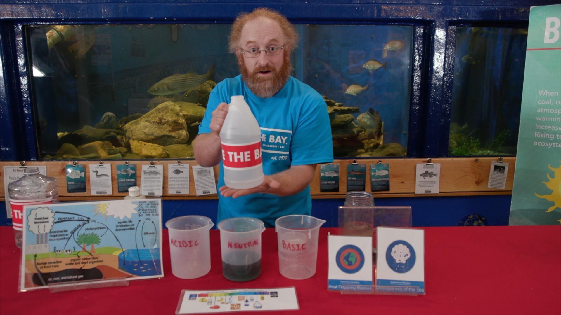 Ocean Acidification | Camp TV | PBS LearningMedia