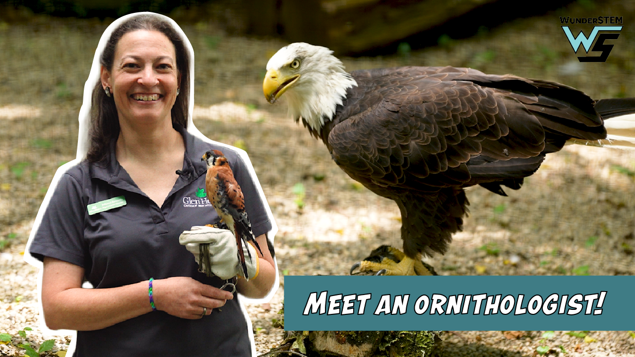 Ornithologist: Rebecca Jaramillo | WunderSTEM | PBS LearningMedia