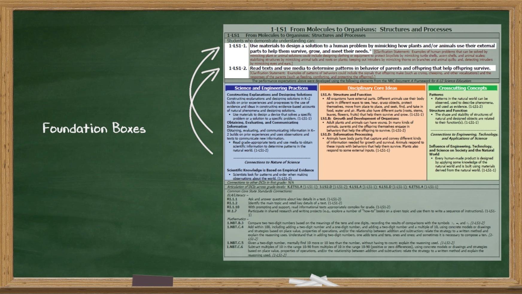 What are Performance Expectations? | NGSS Demystified | PBS LearningMedia