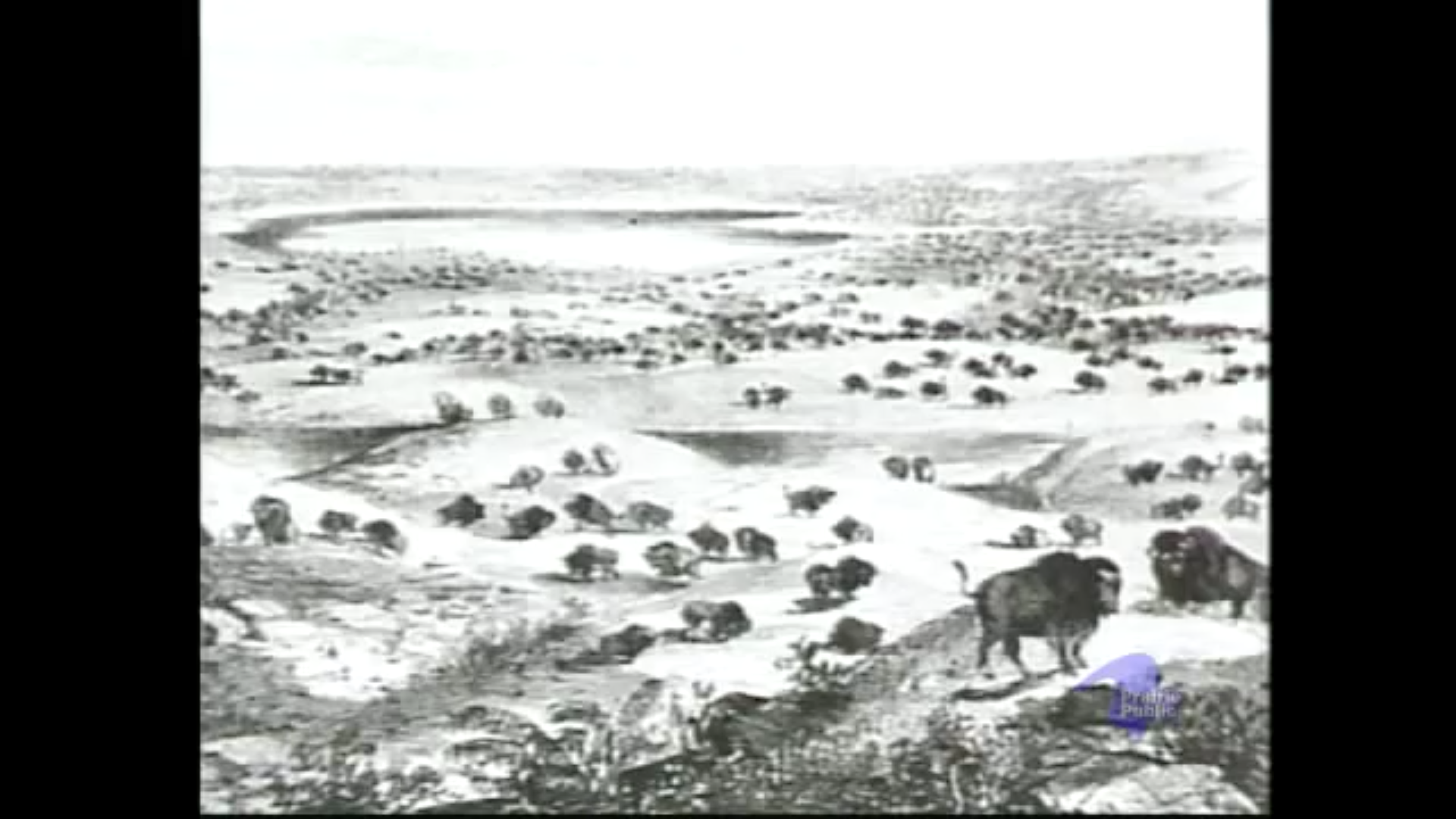 Lewis and Clark Minutes | Learning Expedition | Grades 3-5, 6-8 Social ...